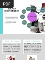 11 Bienes Publicos y Recursos Comunes | PDF | Bienes | Mercado (economía)