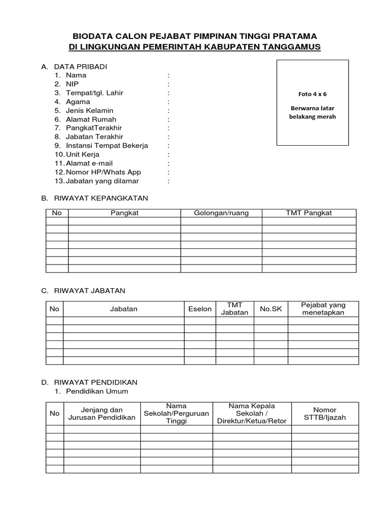 Daftar Riwayat Hidup Calon JPT PDF | PDF