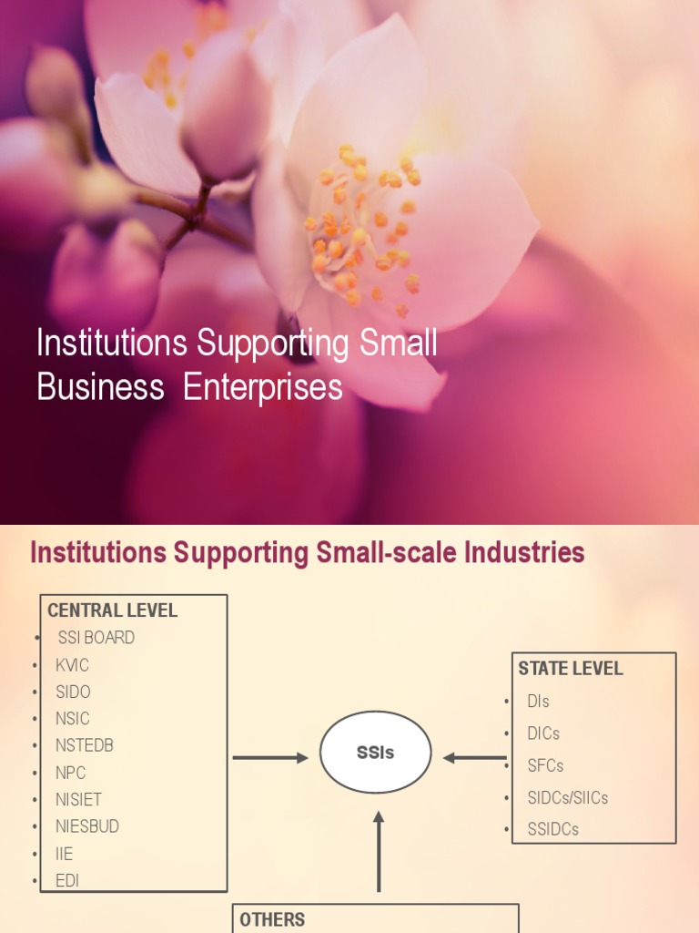 Institutions Supporting Small Business Enterprises | PDF ...