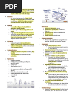 SVN Aerosol Treatment Protocol Guide | PDF | Breathing | Therapy