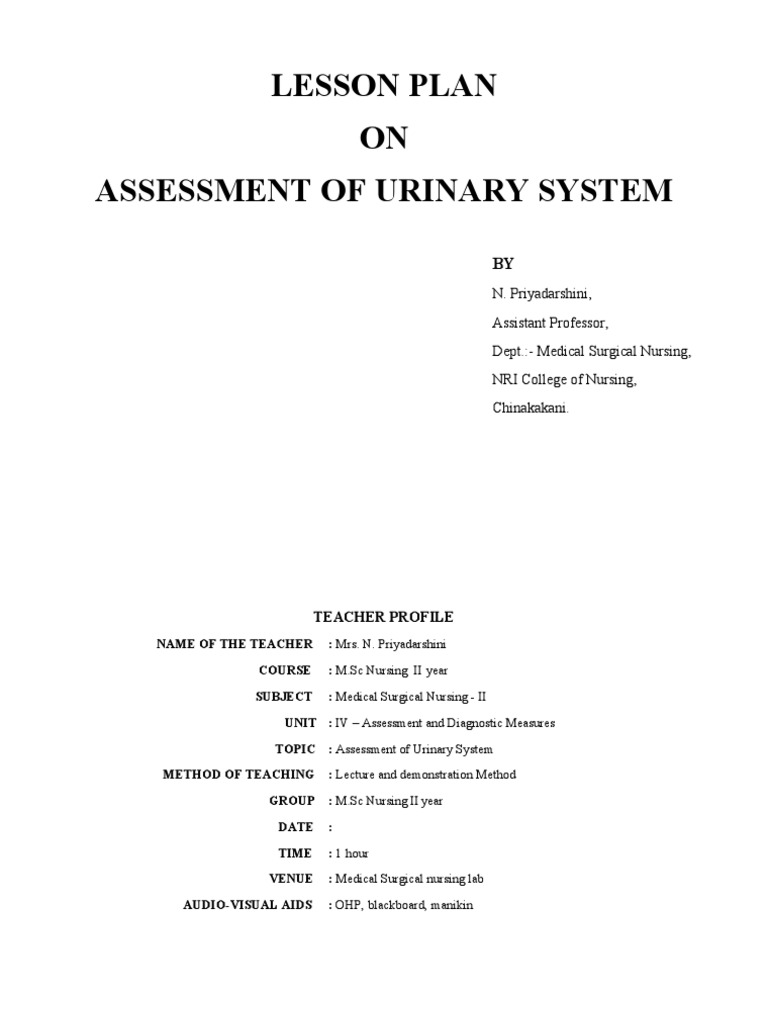 Lesson Plan ON Assessment of Urinary System | PDF | Urinary Bladder ...