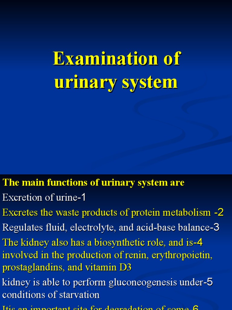 Examination of Urinary System | PDF