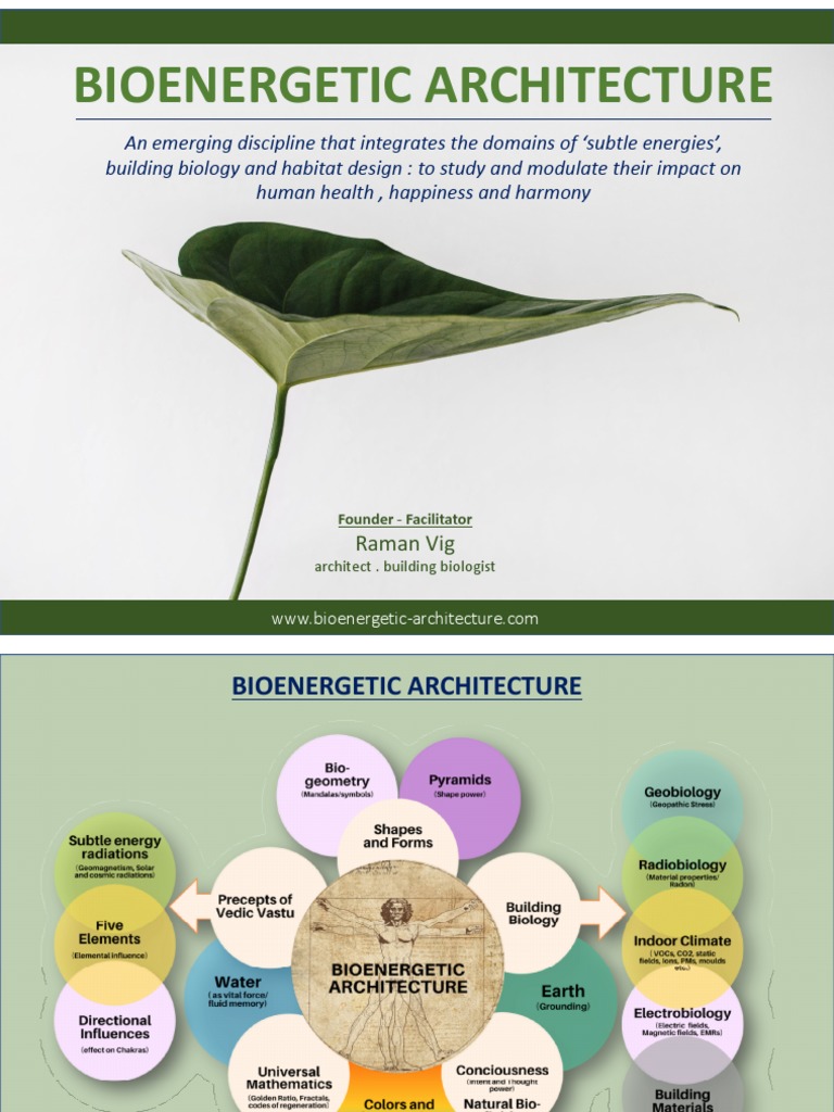 Bioenergetic Architecture - An Introduction PDF | PDF | Happiness ...