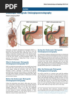 EOBI Pension Calculation Formula in Excel | PDF | Intensive Care Unit ...