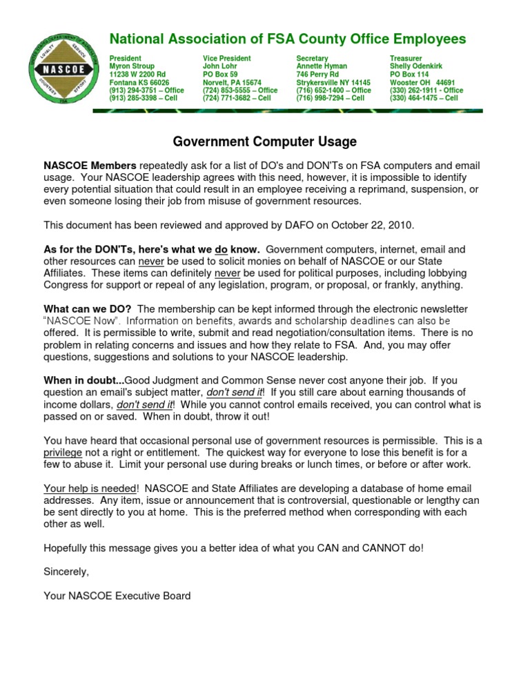 Computer Usage Final | PDF | Government