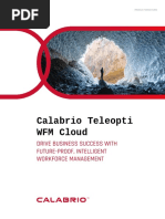 WFM Definitions & Formulas | PDF