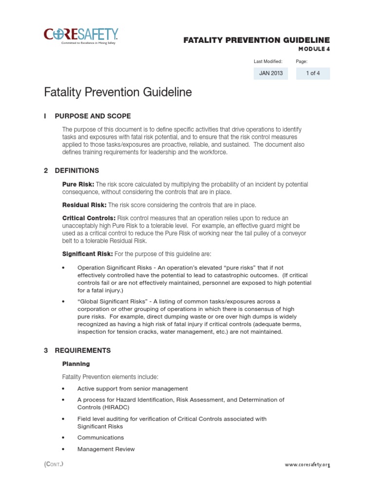 Fatality Prevention Guideline | PDF | Risk | Audit