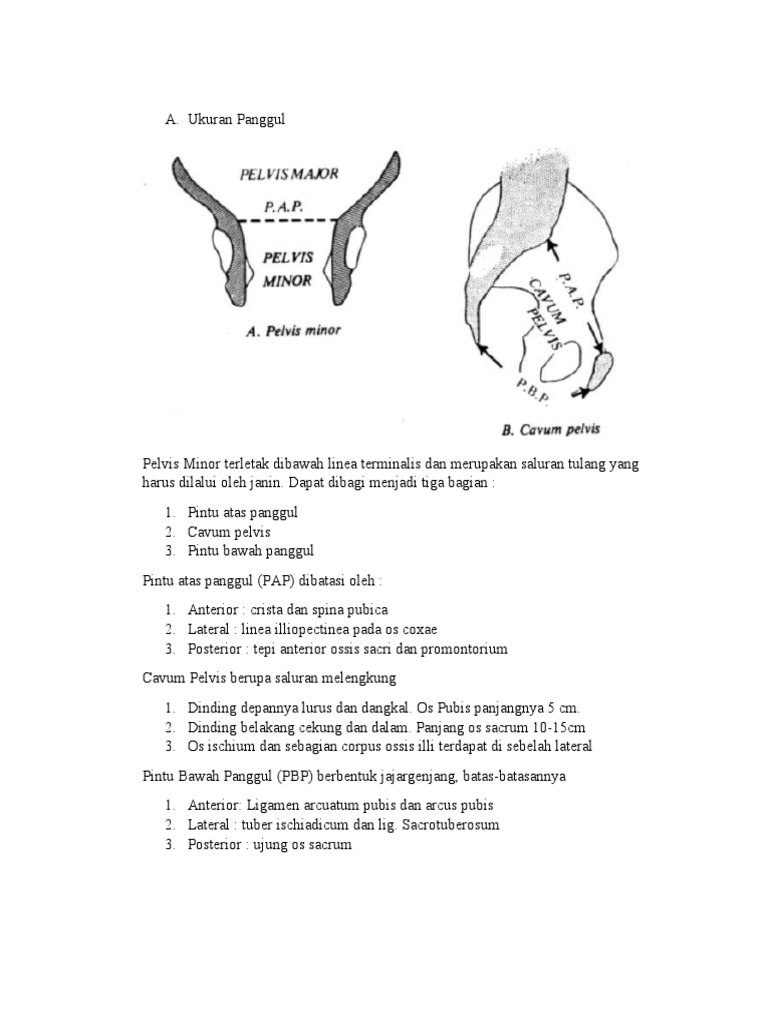 Ukuran Panggul | PDF