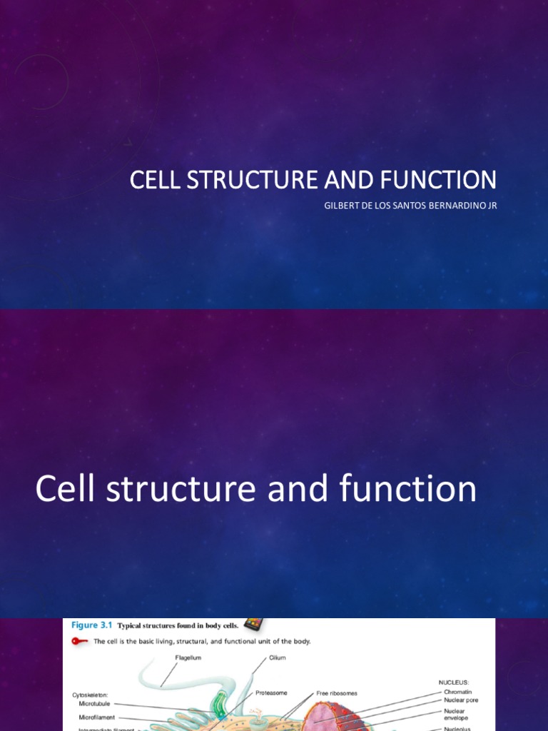Week 4 Biochem Cell Structure and Function | PDF