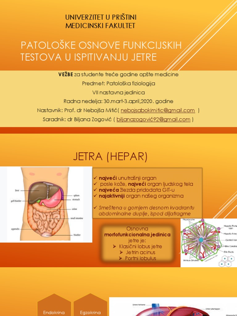 Vezba 03-Jetra | PDF