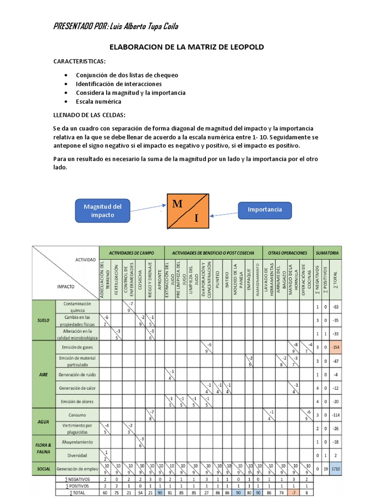 Elaboracion de La Matriz de Leopold | PDF