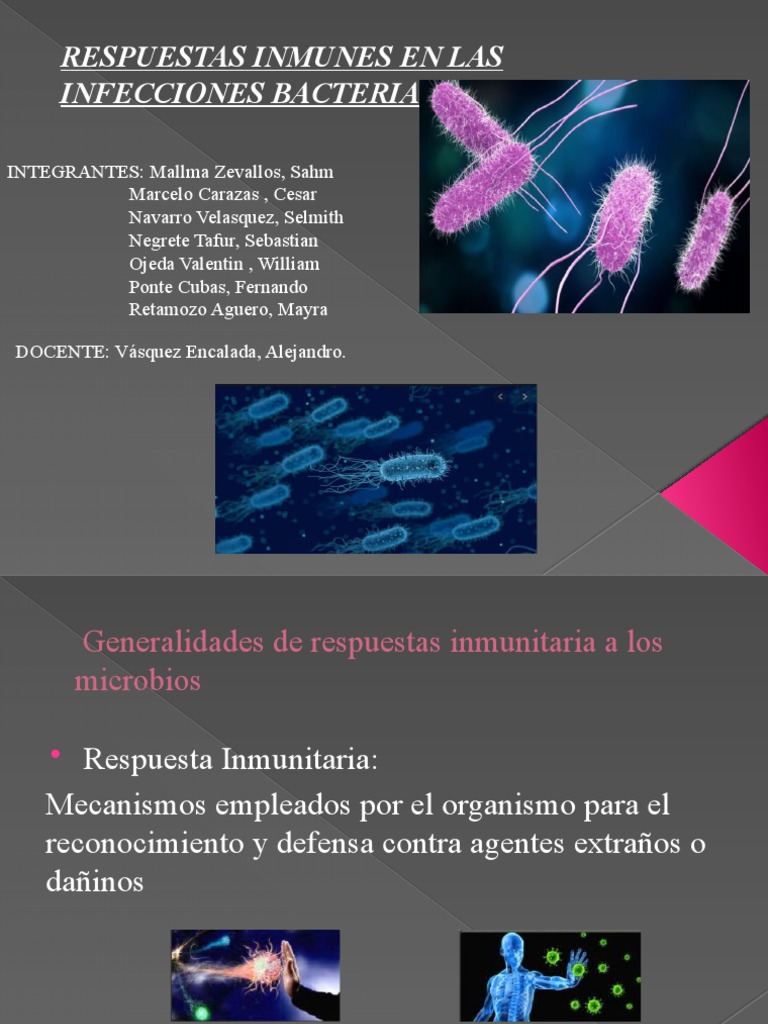 Respuesta Inmune Frente A Bacterias | PDF | Fagocito | Sistema inmune