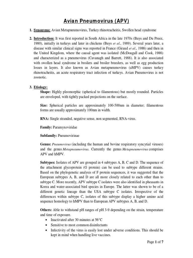 Avian Pneumovirus (APV) | PDF | Elisa | Vaccines