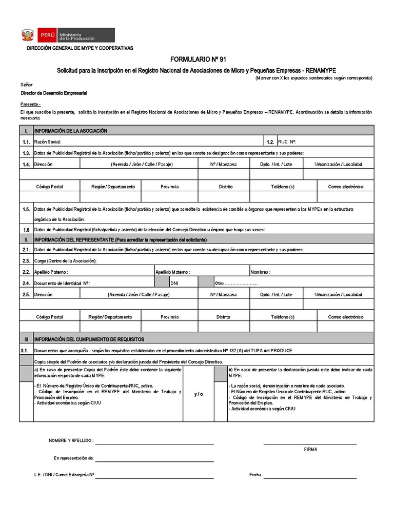 Formato #91 | PDF | Gobierno | Business