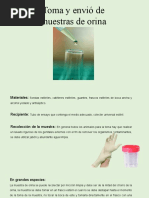 Rotulación e Identificación de Muestras | PDF | Histopatología ...