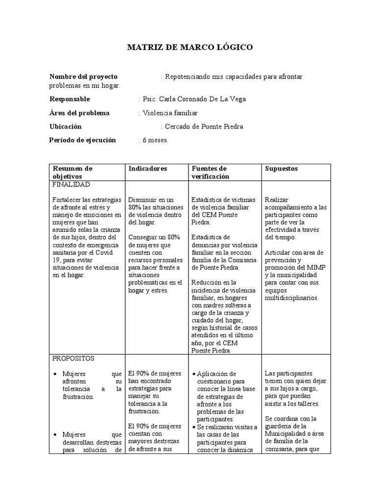Trabajo Final Matriz de Marco Lógico | PDF | Violencia doméstica | Conceptos psicologicos