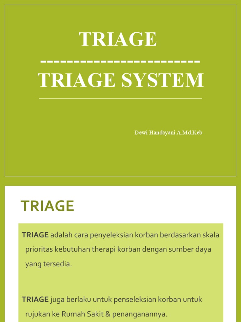 TRIAGE SYSTEM OVERVIEW | PDF