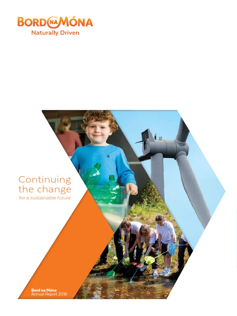 BNM Annual Report 2018 | PDF | Sustainability | Resource