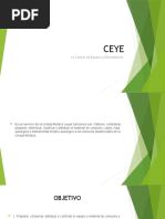 CEYE | PDF | Hospital