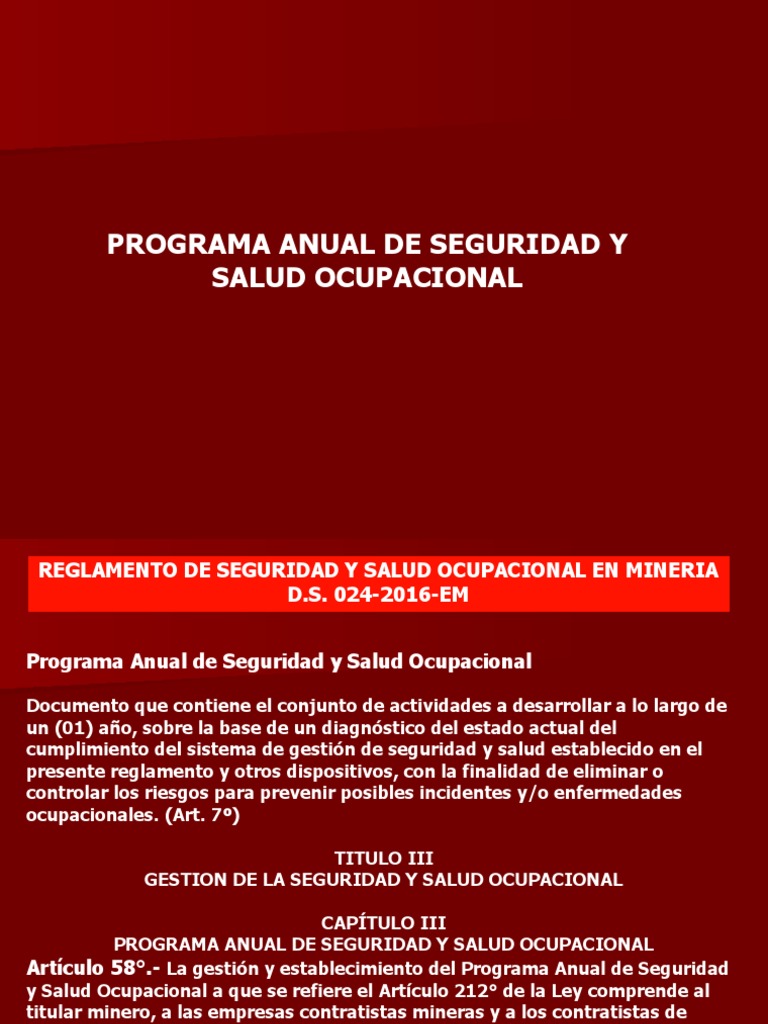 Programa Anual de Seguridad y Salud Ocupacional | PDF | Seguridad y salud ocupacional | Minería