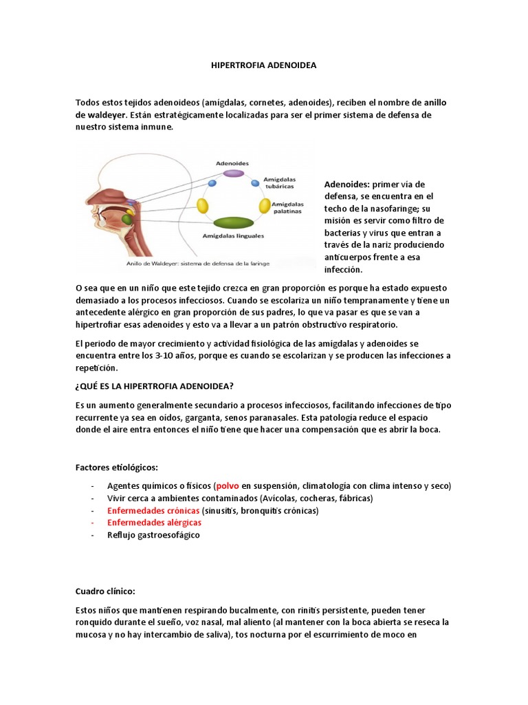 Hipertrofia Adenoidea | PDF | Inmunología | Especialidades Medicas