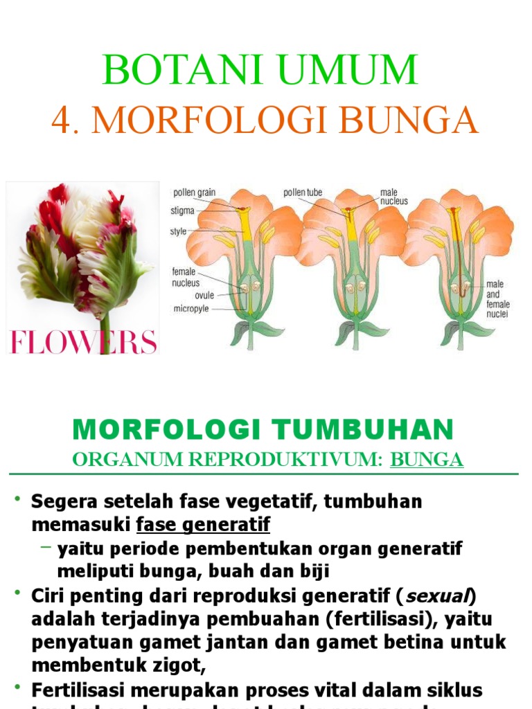 4.botani Morfologi - Bunga | PDF