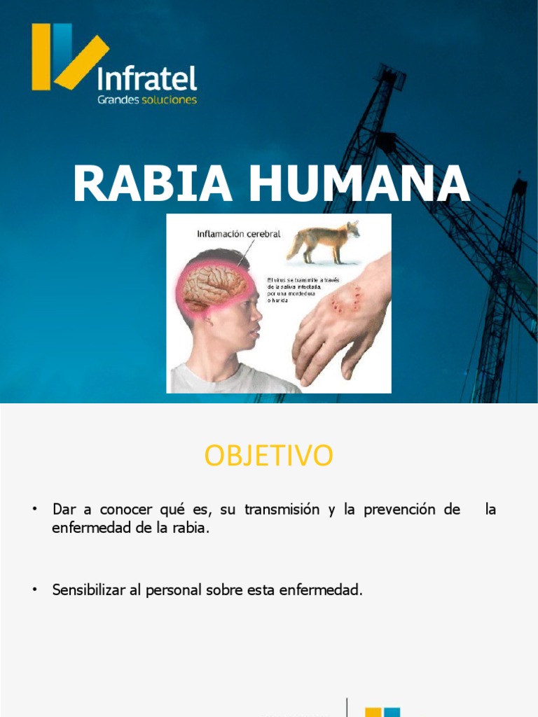 Rabia Humana | PDF | Rabia | Epidemiología