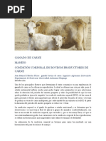 Cómo Calcular El Peso Del Ganado Sin Necesidad de Una Báscula | PDF ...