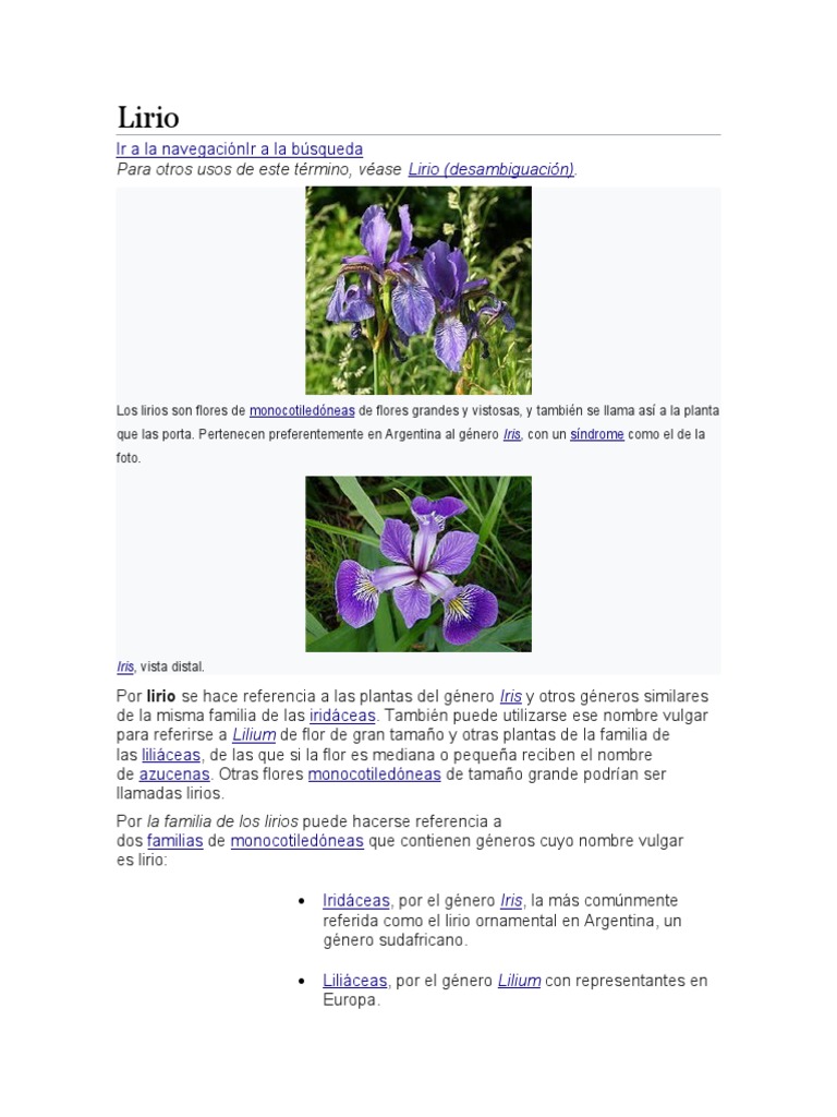 Lirio | PDF | Wikipedia | Business