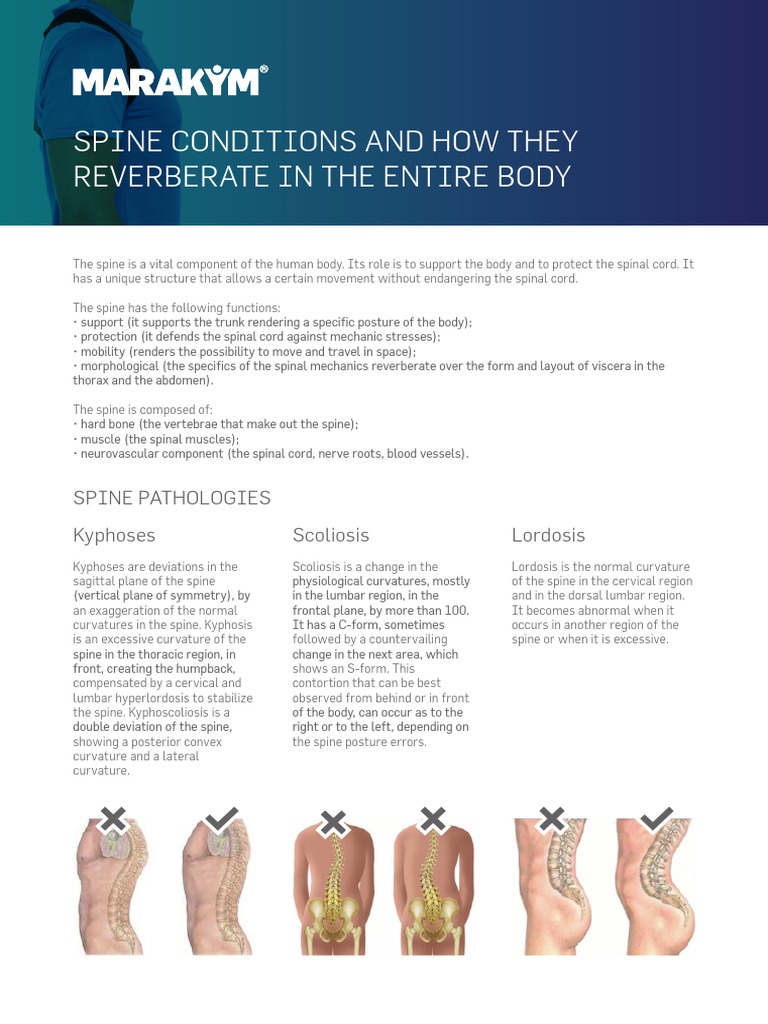 Understanding Spine Disorders | PDF | Vertebral Column | Spinal Cord