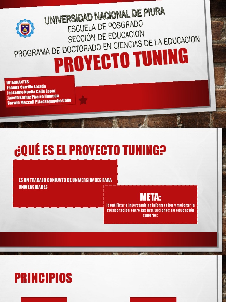 Proyecto Tuning Pdf Aprendizaje Cognición