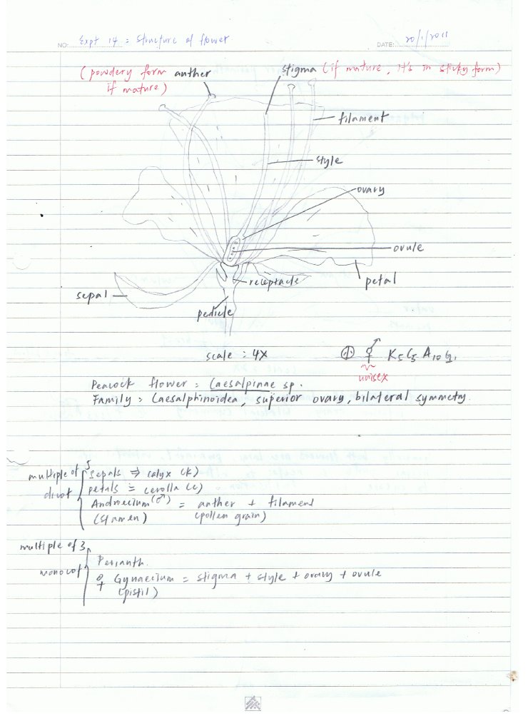STPM Biology Experiment 14 (Part 1) | PDF