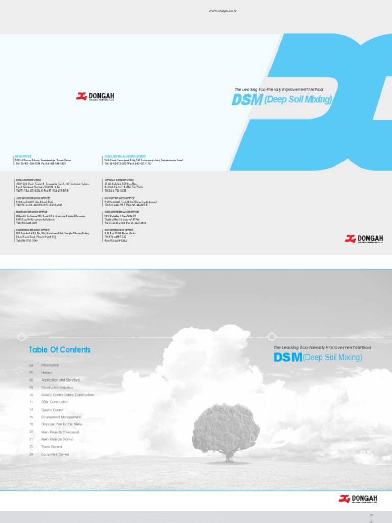 (Deep Soil Mixing) : The Leading Eco-Friendly Improvement Method | PDF ...