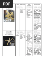 Echinoderms 3 | PDF