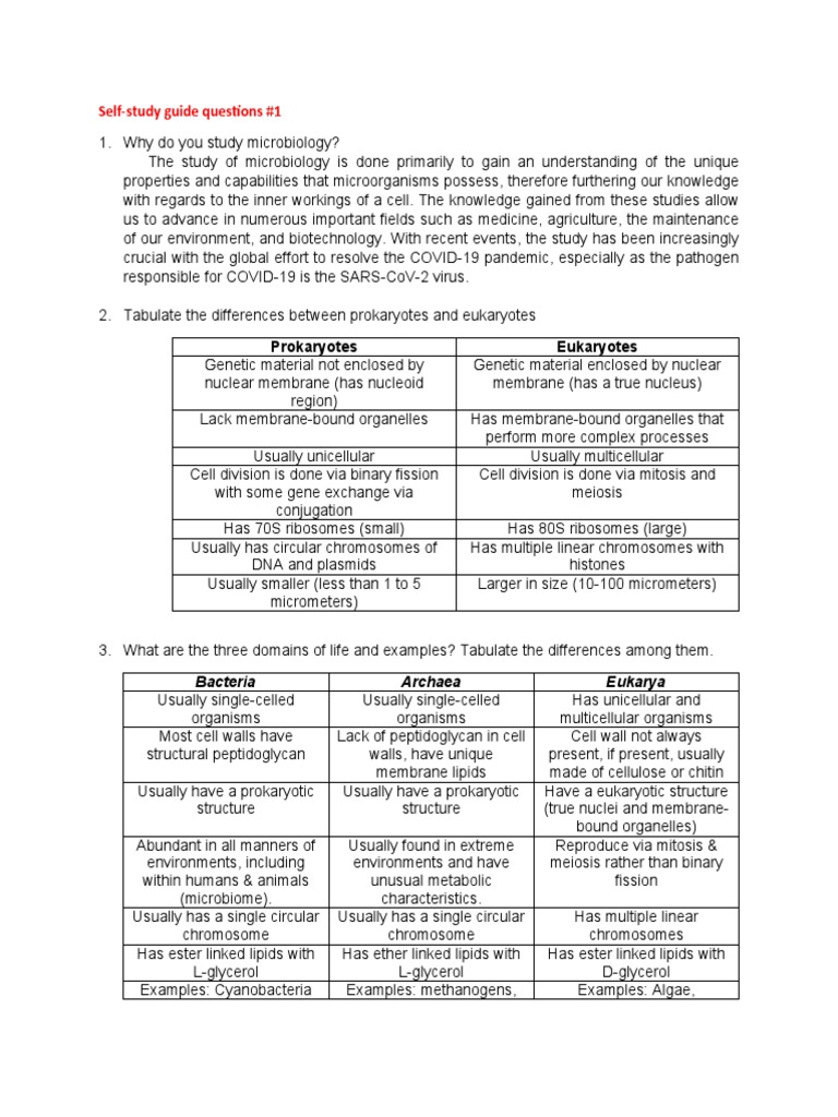 Microbiology Study Guide Questions | PDF | Prokaryote | Cell (Biology)