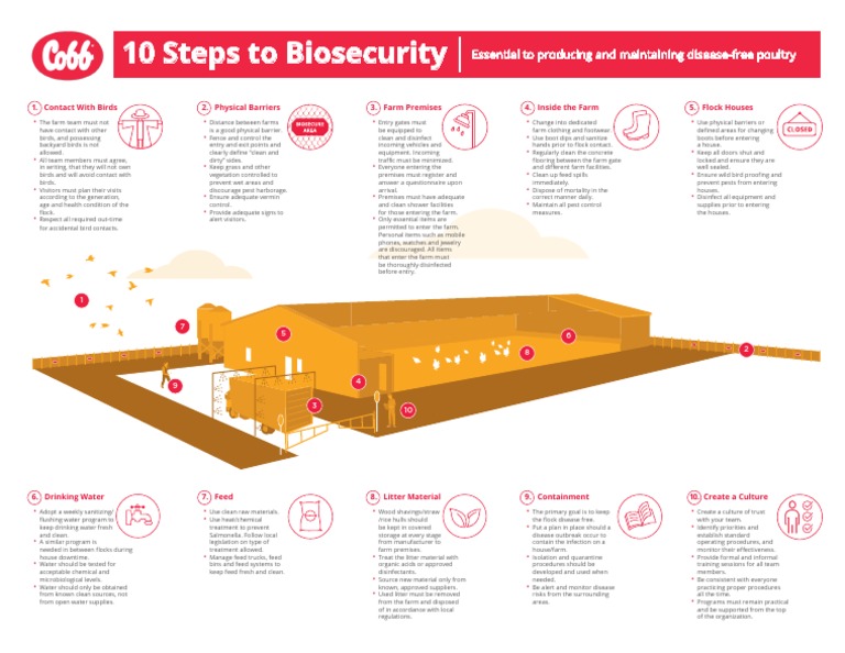 COBB Biosecurity Infographic v8 | PDF | Drinking Water | Disinfectant