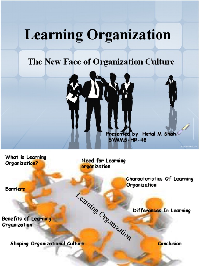 Learning Organization - Ver1.1 | PDF | Learning | Cognition