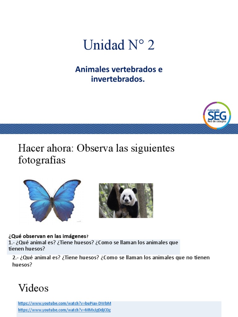 Vertebrados e Invertebrados. PPT Clase 8 Segundos | PDF