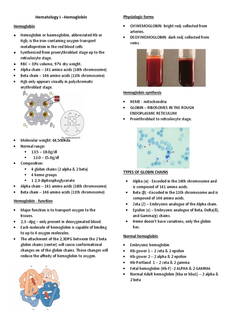 Hematology I - Hemoglobin: Physiologic Forms | Download Free PDF ...