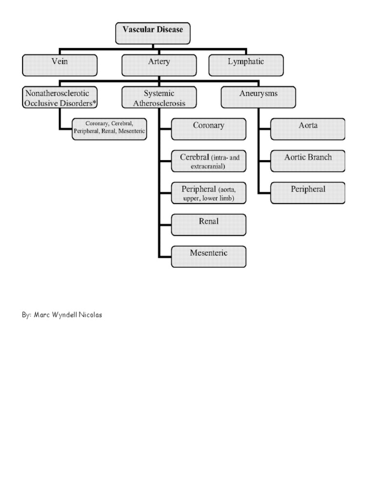 Understanding Peripheral Vascular Disorders | PDF | Vein | Vascular ...