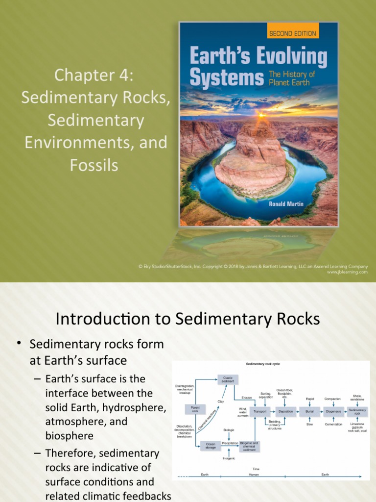Sedimentary Rocks, Sedimentary Environments, and Fossils | PDF ...