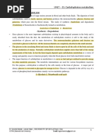 Biochemical Test and Identification of Pseudomonas Aeruginosa | PDF ...