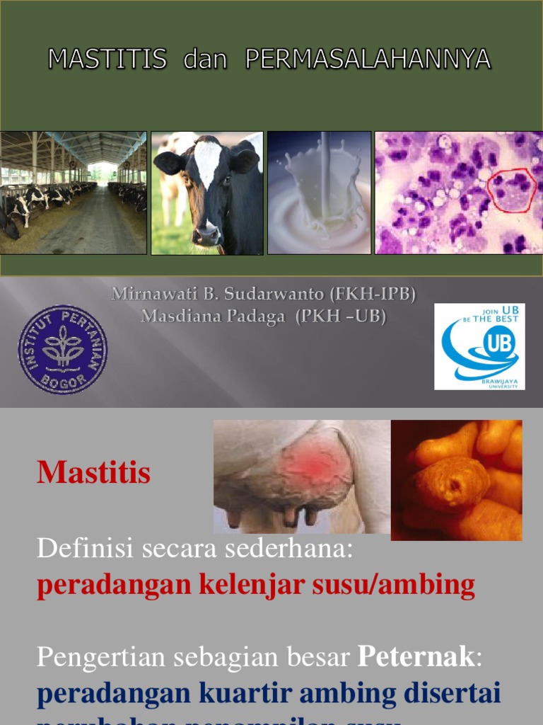 MASTITIS PPT Diagnos PDF | PDF