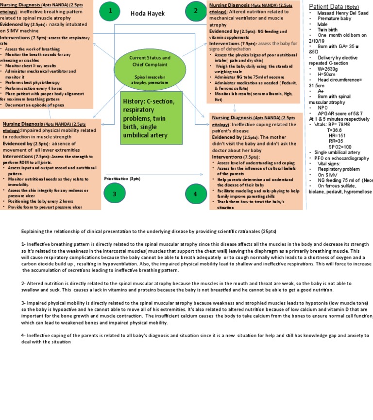 Concept Map (SMA) | Download Free PDF | Breathing | Muscle