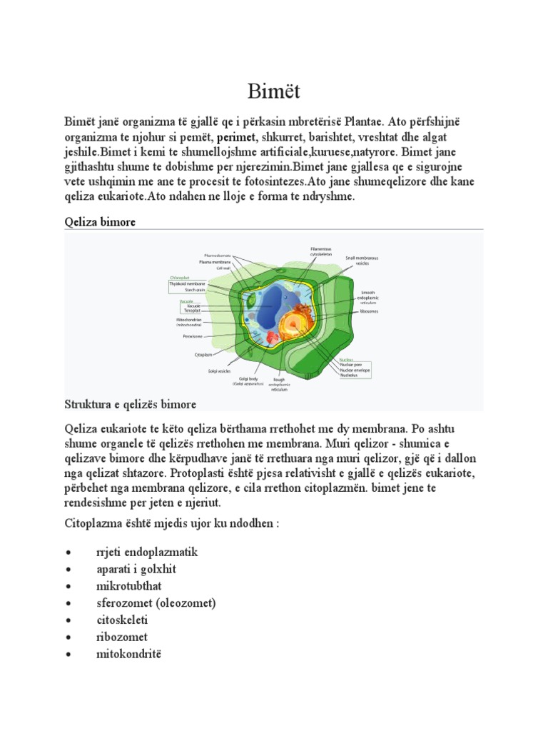 Bimët | PDF