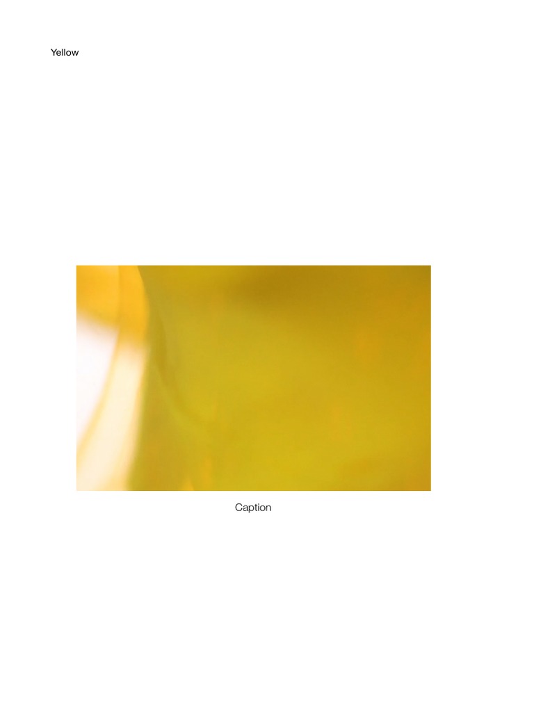 Download 10-Page Blank PDF | PDF