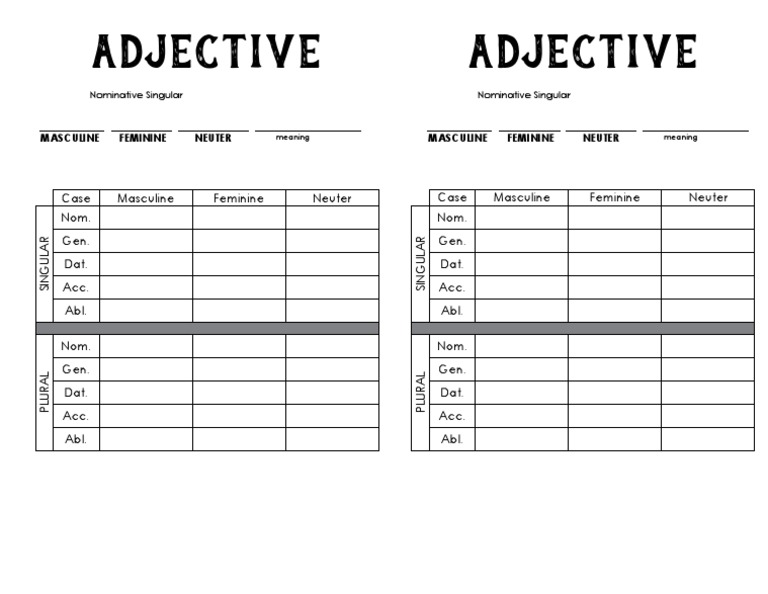 Latin Adjective Declension Chart | PDF