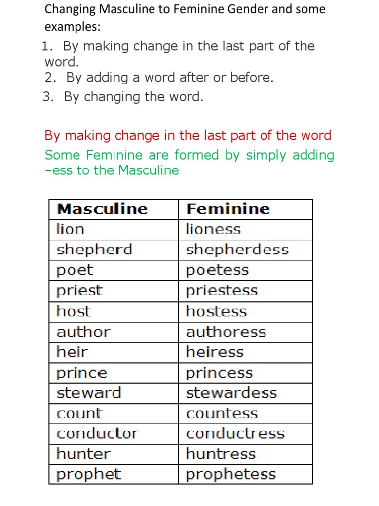 Class 6 Noun Gender Notes | PDF