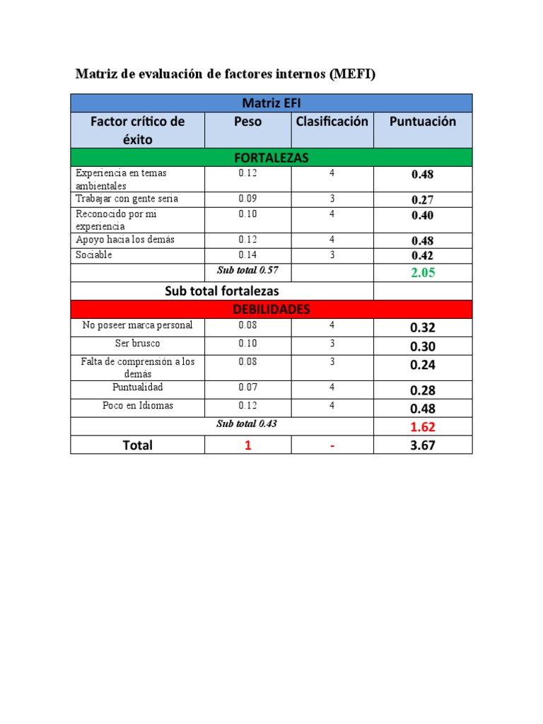 Matriz Mefe y Mefi | PDF