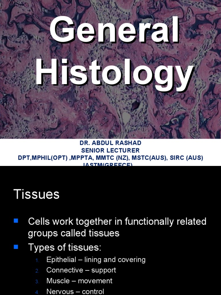 13.histology Lecture | Download Free PDF | Epithelium | Connective Tissue
